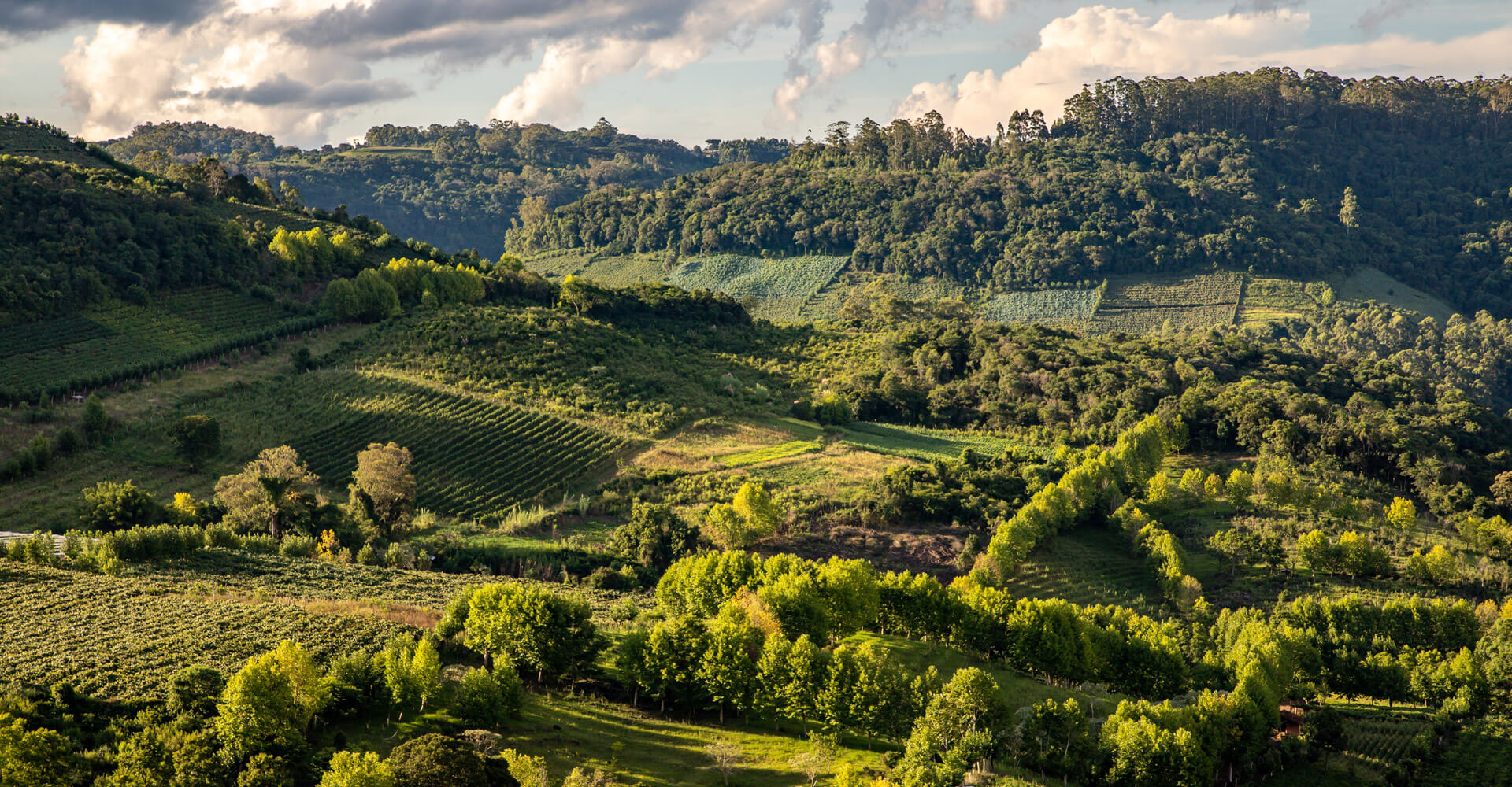Bento Gonçalves | Viajar Faz Bem: Clube de Viagens e Turismo
